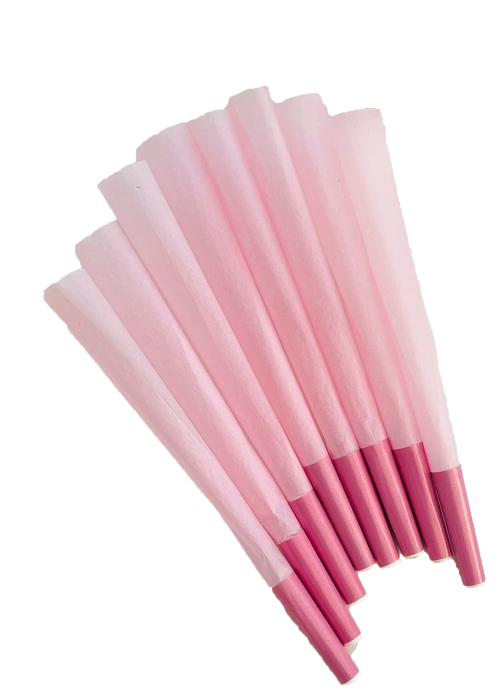 Canna Style | Pink Cones – Hawkins & Clover